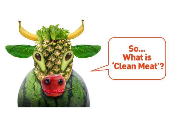 The Evolution Of Clean Meat - Brett Wiskar